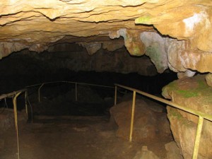 Traveling to Spain , Altamira