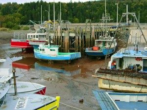 Canada Bay of Fundy Tides,The Highest Tides in the World!
