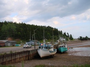 Canada Bay of Fundy Tides,The Highest Tides in the World!