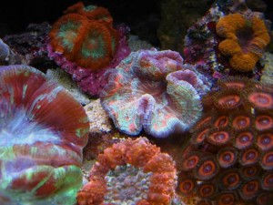 Traveling to Egypt , Red Sea , Red Land