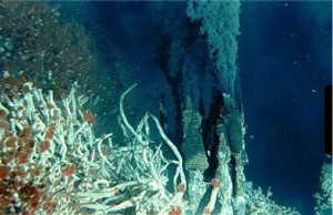Deep-Sea Vents The Ocean Floor Wonder