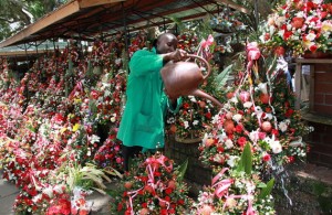 Valentines Day Heart Around The World