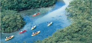 Dutch Caribbean Island Paradise on the ABC Islands (Aruba, Bonaire and ...