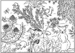Australia Day Coloring Pages for Kids