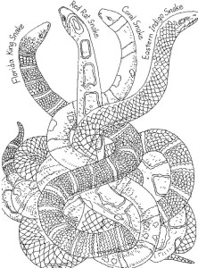 Chinese New Year Snake Coloring Pages