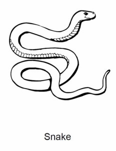Chinese New Year Snake Coloring Pages
