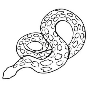 Chinese New Year Snake Coloring Pages