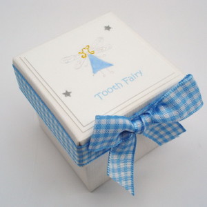 Tooth Fairy Box Ideas & Special Gift