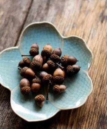 65 Cool Acorn Décor Ideas For Fall