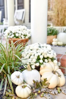 43 Amazing White Fall Décor Ideas