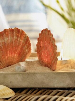 40 Nautical Maritime Shell Décor and Craft Activity