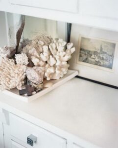 40 Nautical Maritime Shell Décor and Craft Activity