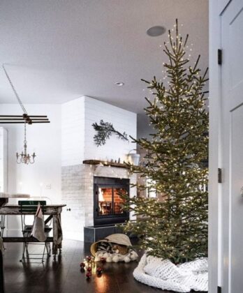 The Best Places to Put Up a Christmas Tree at Home13 visual ideas ...
