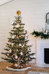 The Best Places to Put Up a Christmas Tree at Home13 visual ideas ...